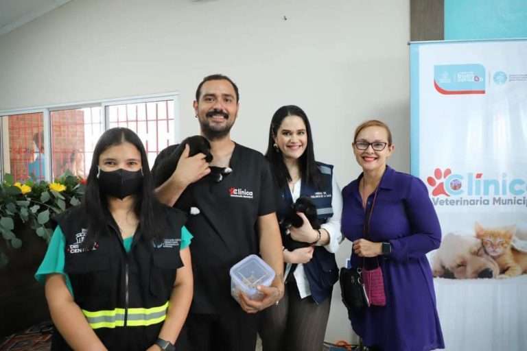 Clínica Veterinaria - Alcaldía Municipal del Distrito Central